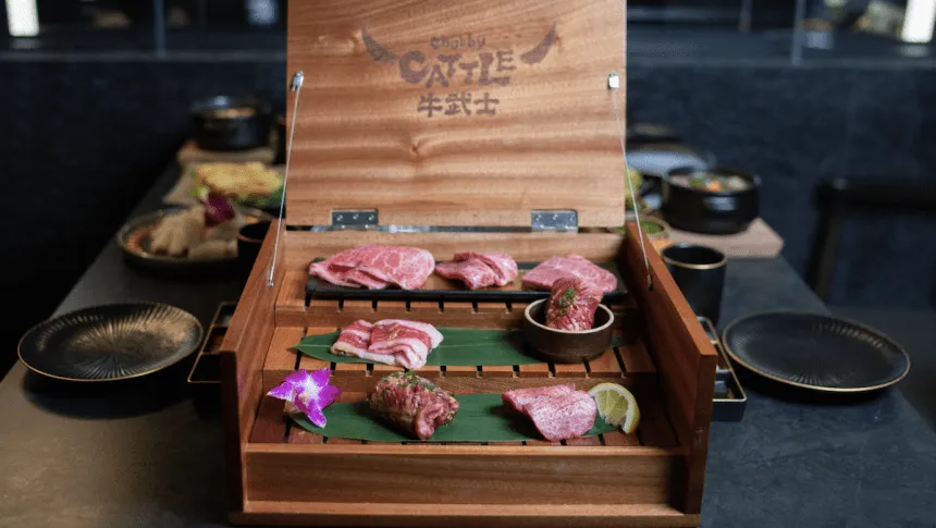 Press - Chubby Cattle